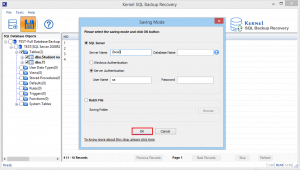 How to Restore SQL Server with RECOVERY & NORECOVERY option