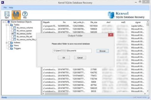 Fix SQLite database file is locked error