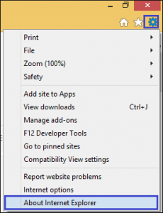 Troubleshoot to Fix Internet Explorer Not Playing Video Files Playback