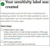 Detailed Information on Sensitivity Labels in Microsoft 365