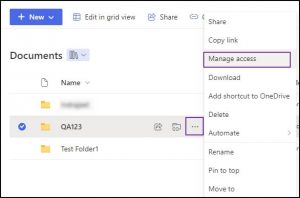 What is SharePoint Limited Access and How to Use It