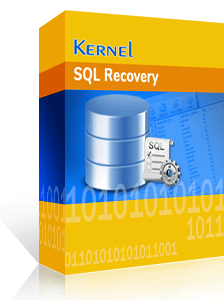 How to Identify Database Corruption in MS SQL Server?