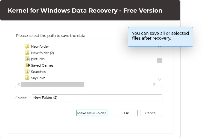 Free Data Recovery Software Download to Recover Lost/Formatted Files