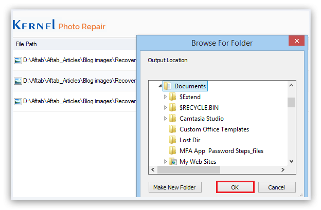 Photo Repair Tool to Repair Corrupt/Damaged Photos from All Storage Media